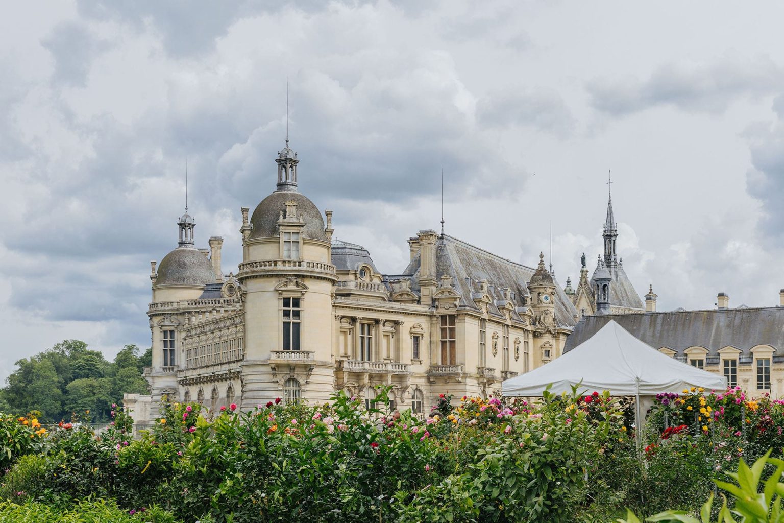 Chantilly Plant Days 2025 - InterContinental Chantilly